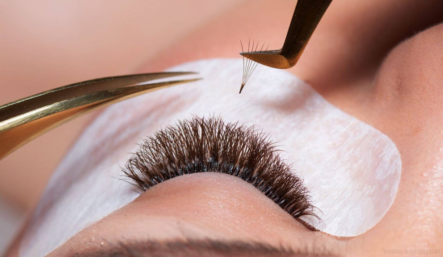 Eyelash Extensions - Minh Lashes